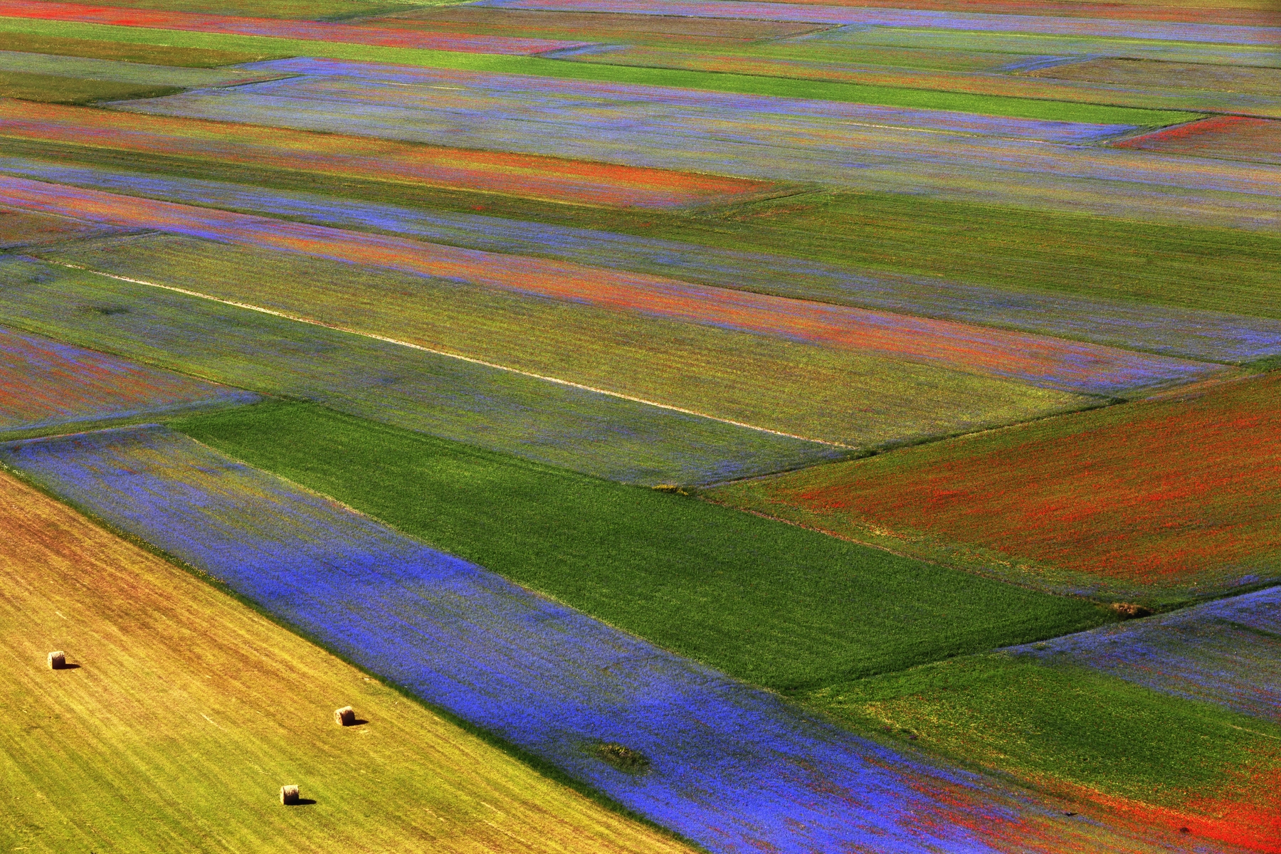 La Coperta Wallpaper | Beautiful Nature Removable Wallpaper | Happywall