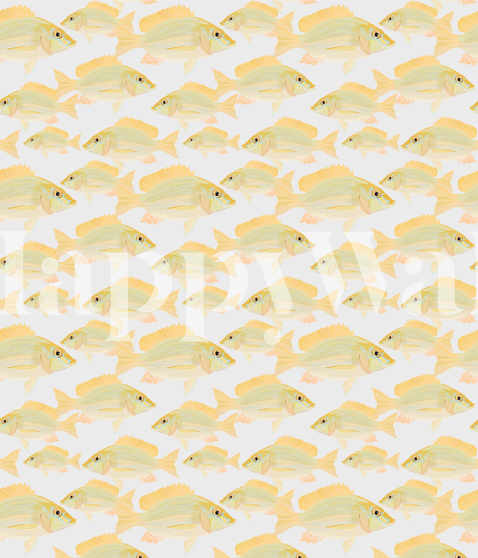 Buy Sand Bream the Fish 02 Wallpaper | Happywall
