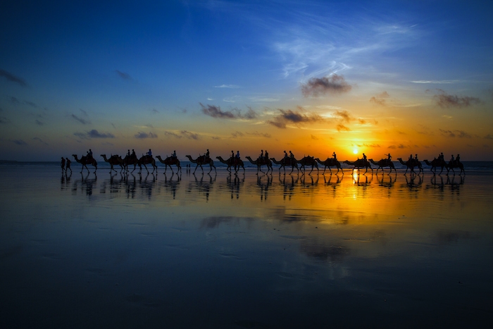 Sunset Camel Ride Wallpaper - Happywall