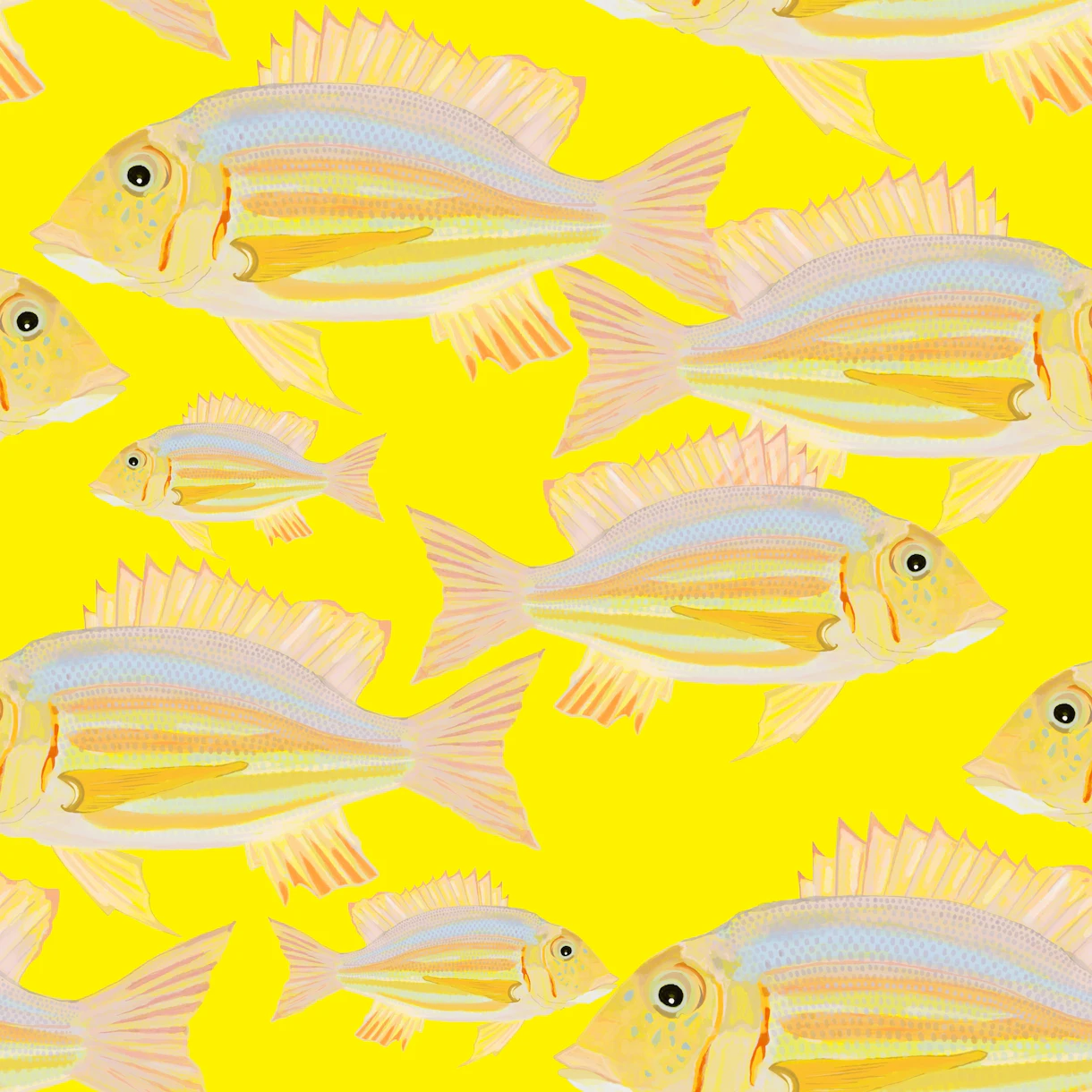 Sand Bream - The Fish 05 wallpaper - Free shipping | Happywall