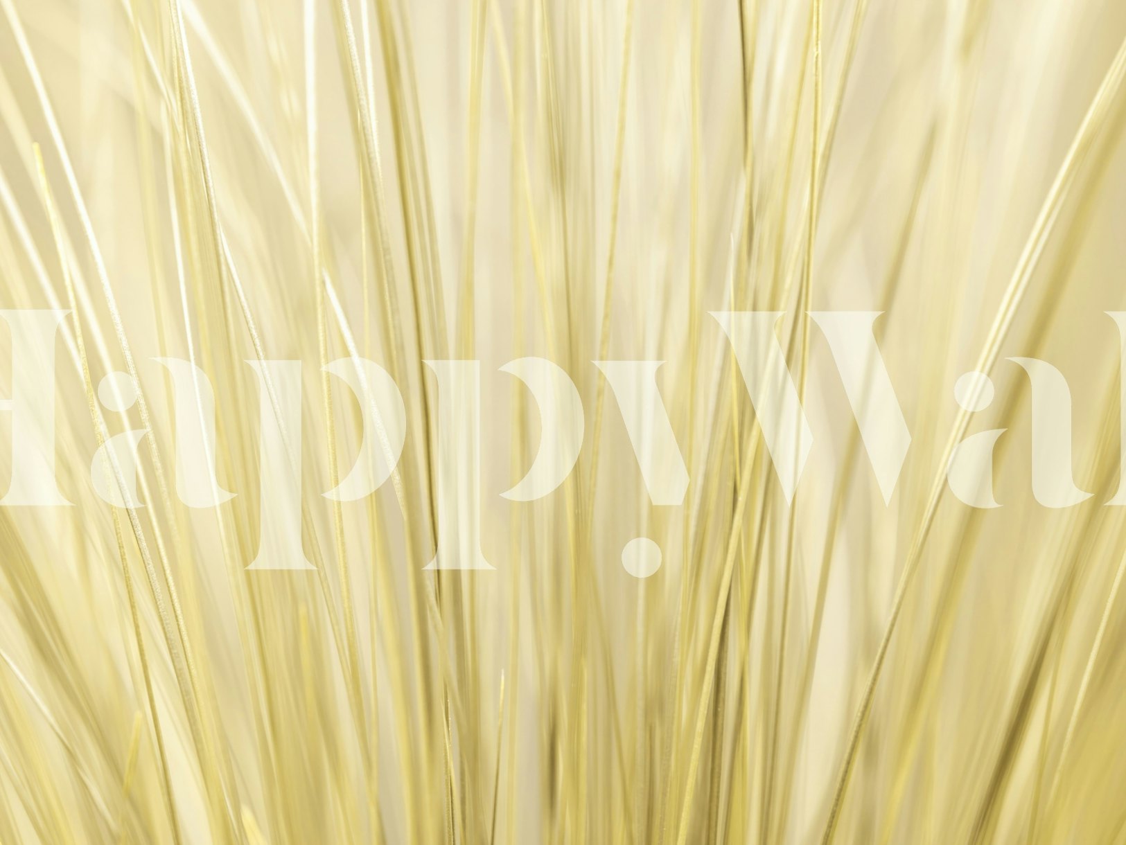 Buy Dry Grass Wallpaper Online Happywall