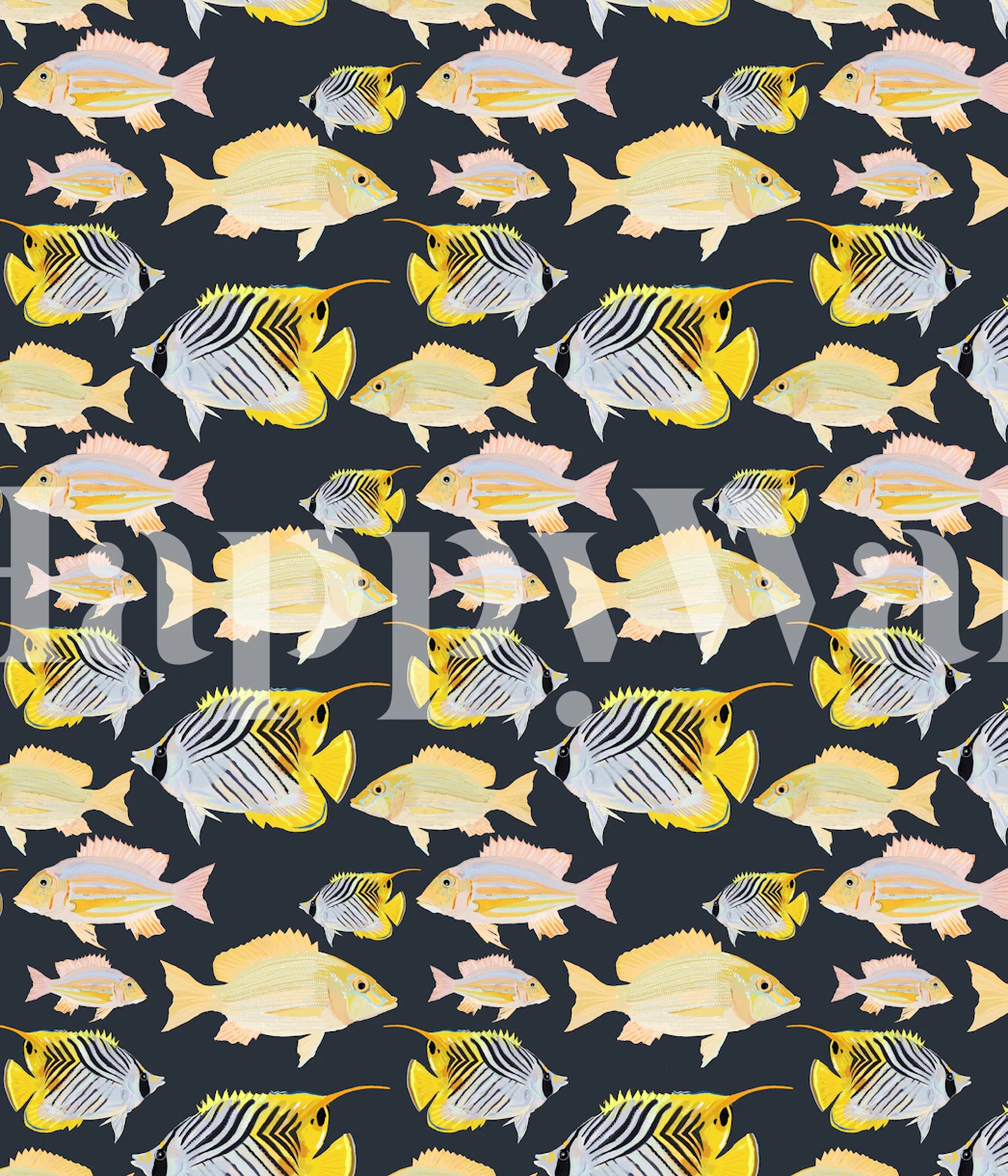 Shop Sand Bream Fish 07 Wallpaper - Beautiful Wallpapers for Sale ...