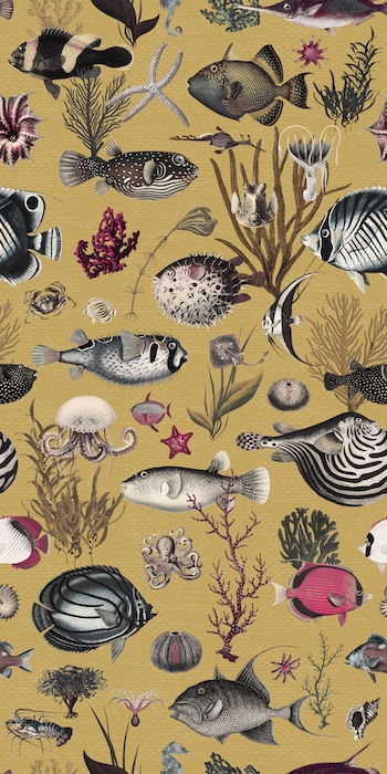 Oceania Pattern Wallpaper - happywall.com