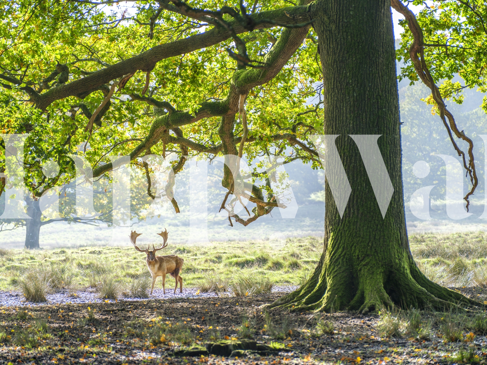 Nature Stag Under Tree Wallpaper
