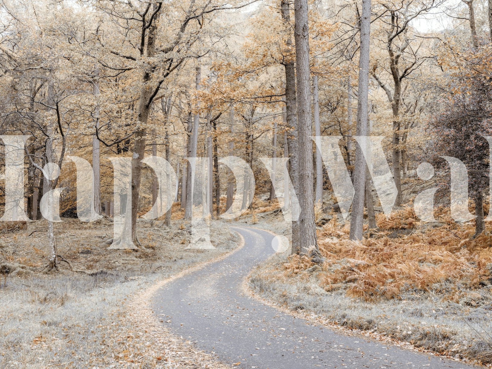 Make Your Own Path Wallpaper | Customizable Wallpapers | Happywall