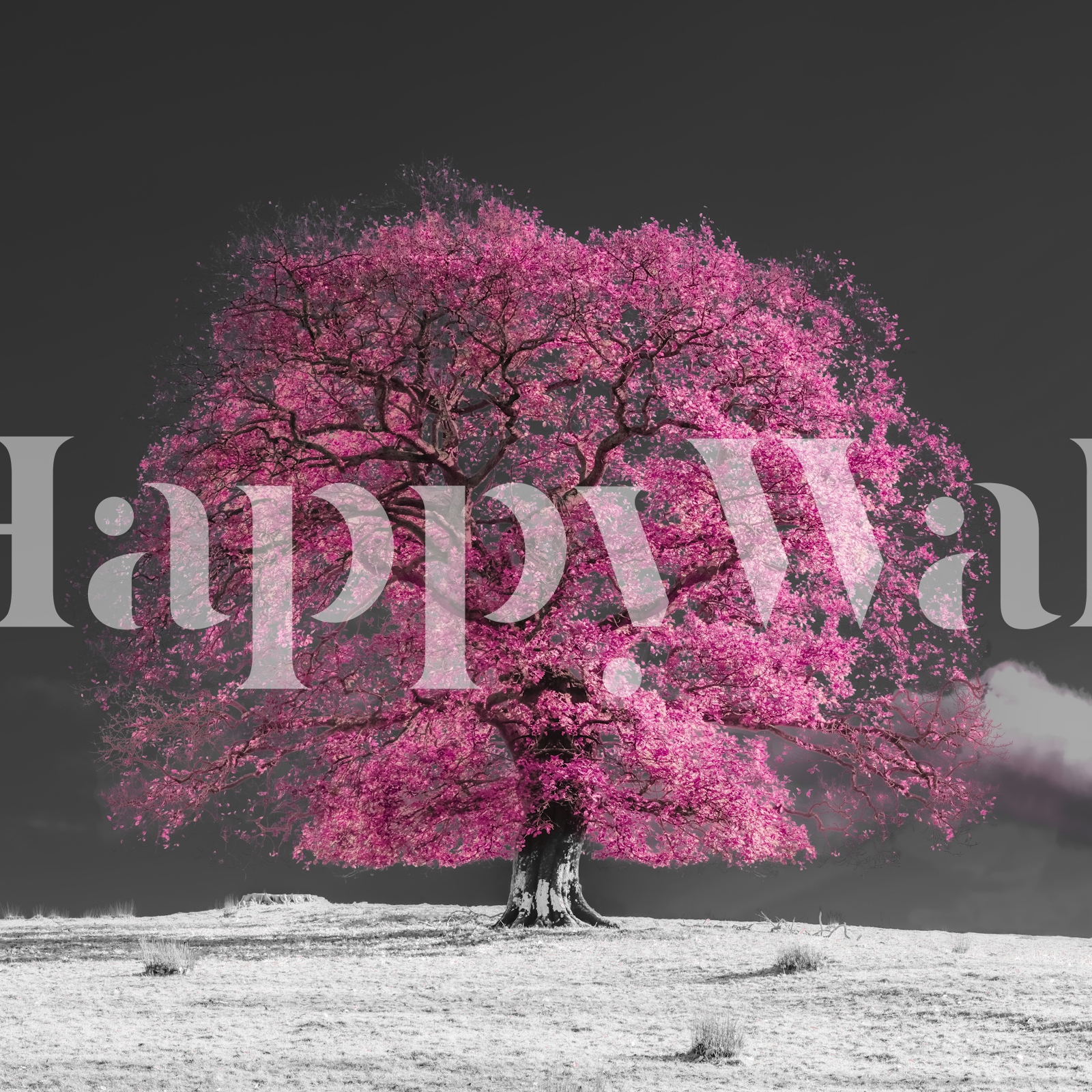 Pink Floral Wallpaper - Cherry Blossom Design