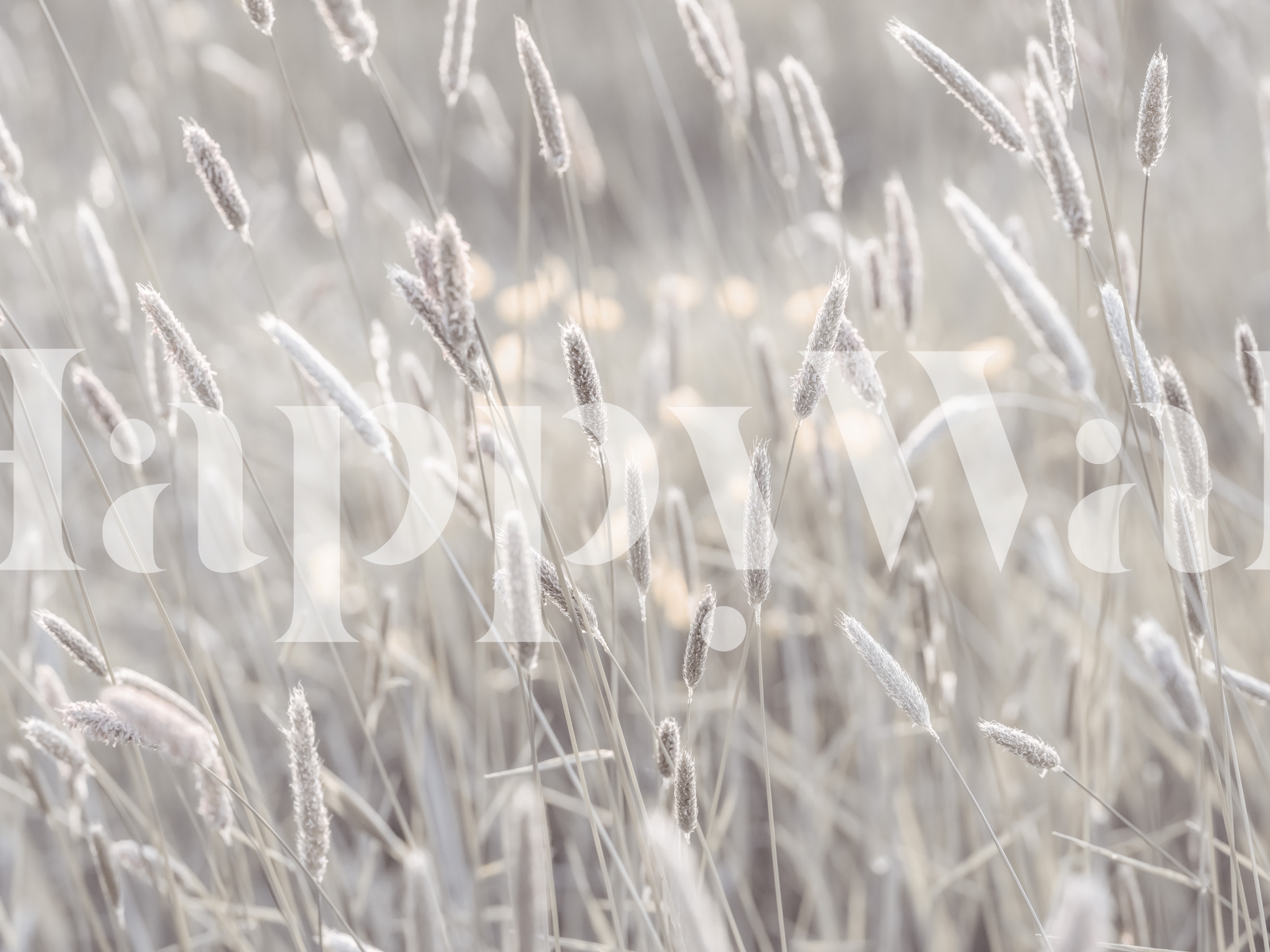 Meadow's Bliss Wallpaper - happywall.com