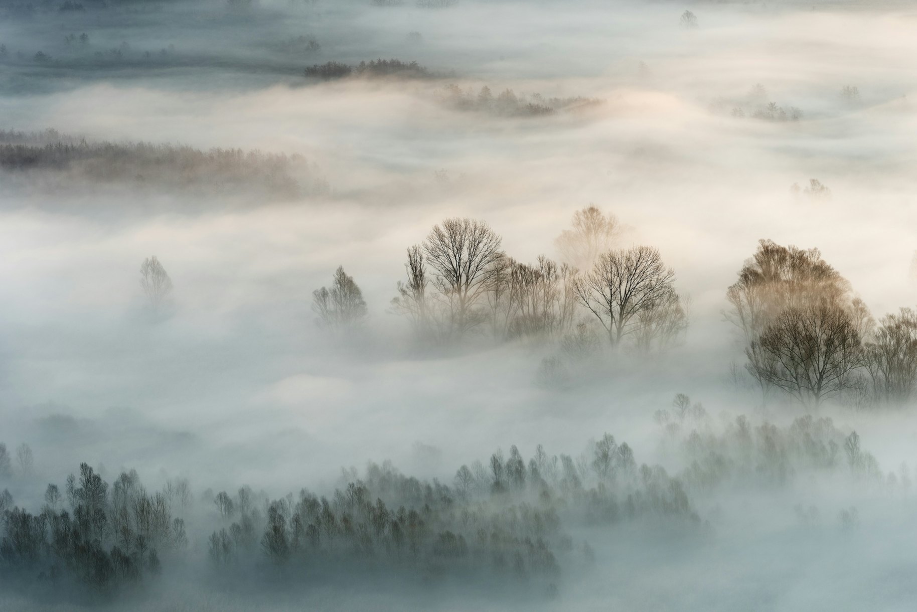 Winter Fog Wallpaper - Buy Beautiful Wallpapers Online - Happywall