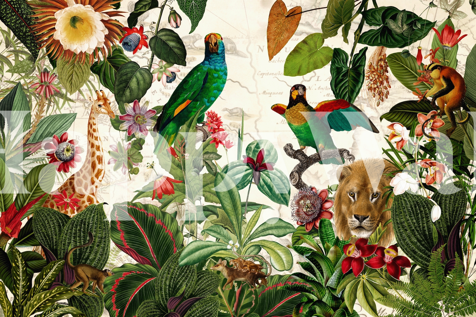 Exotic Lush Jungle Wallpaper | happywall.com