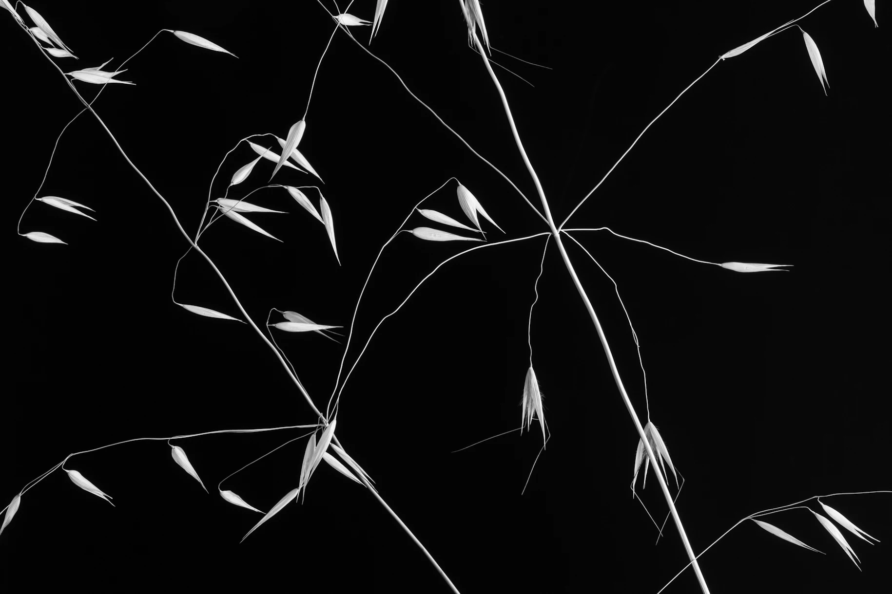Crossed Lines wallpaper - Happywall