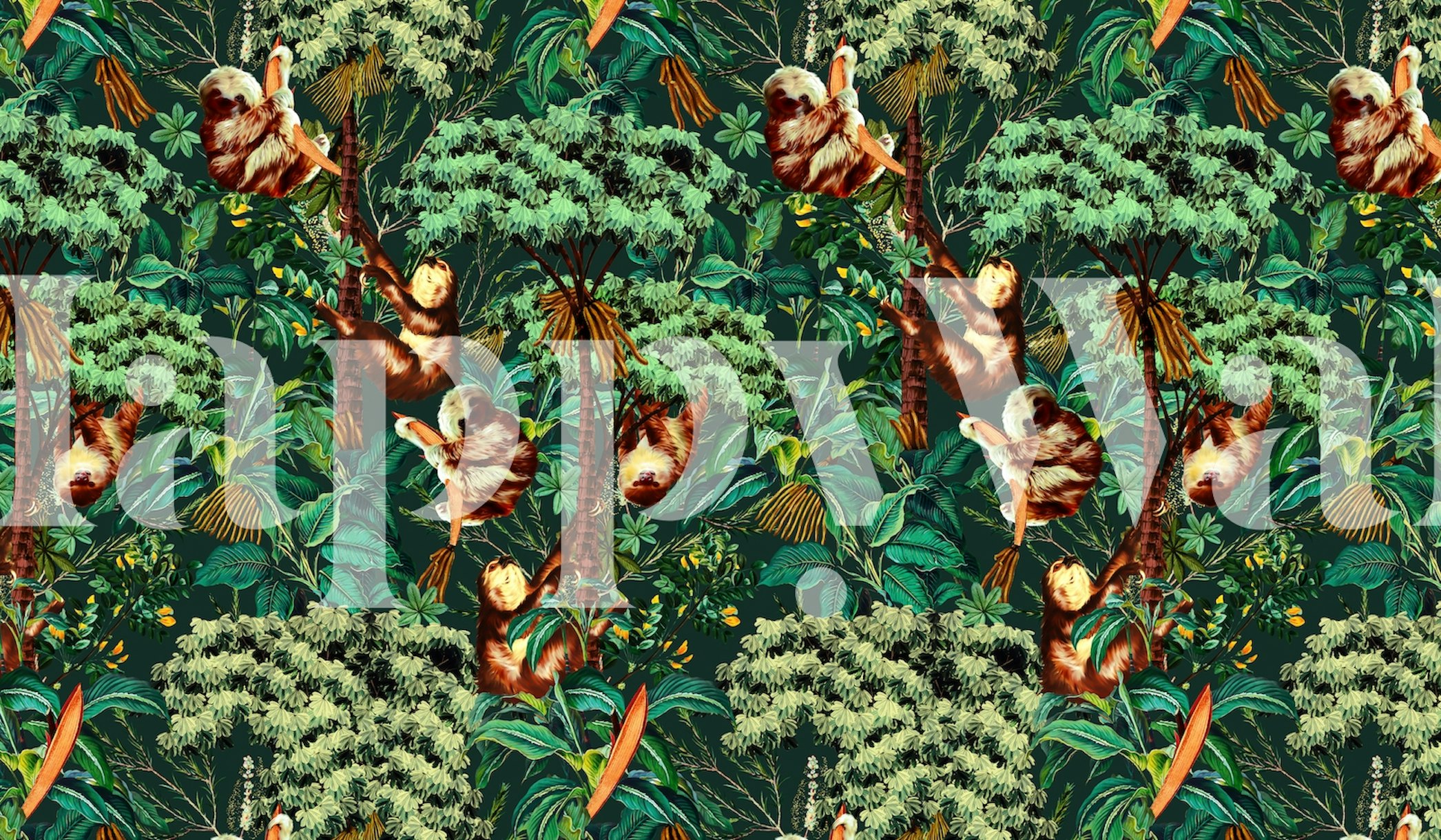 Sloths of the Rainforests Wallpaper | Happywall