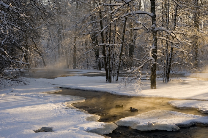 The First Light Wallpaper - Buy Online | Happywall