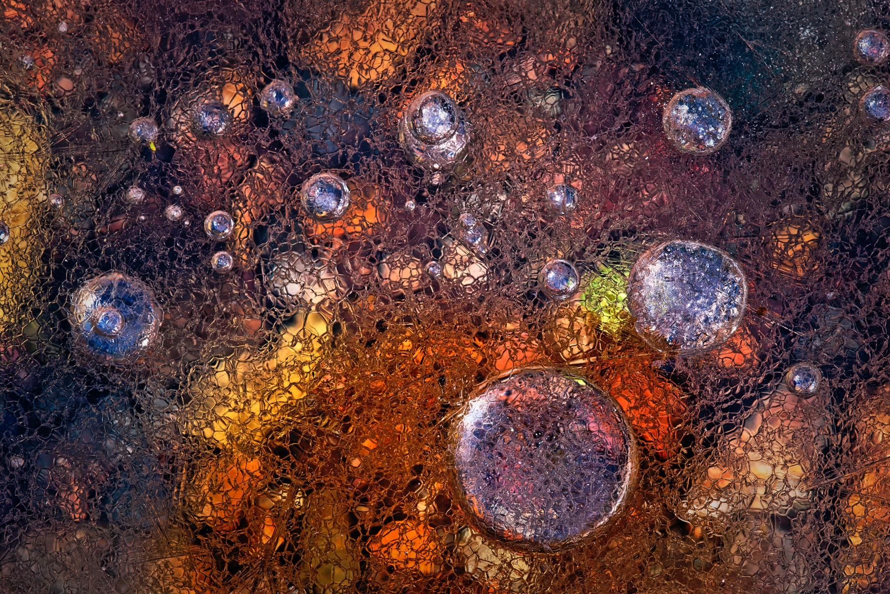 Winter Over Autumn Wallpaper - Stunning Scandinavian Wallpapers | Happywall