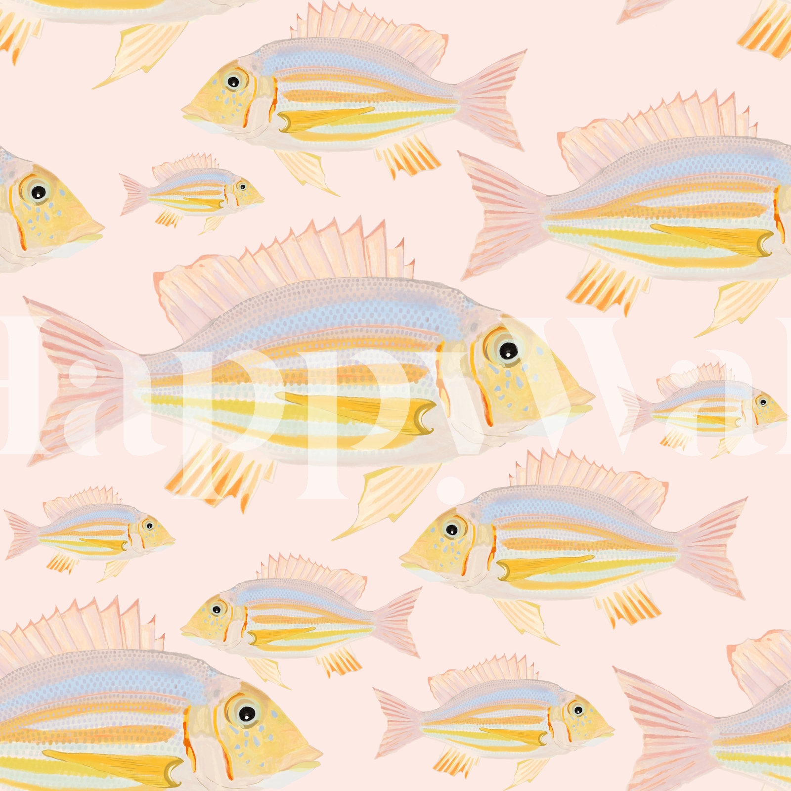 Buy Sand Bream the Fish 13 Wallpaper Online | Happywall