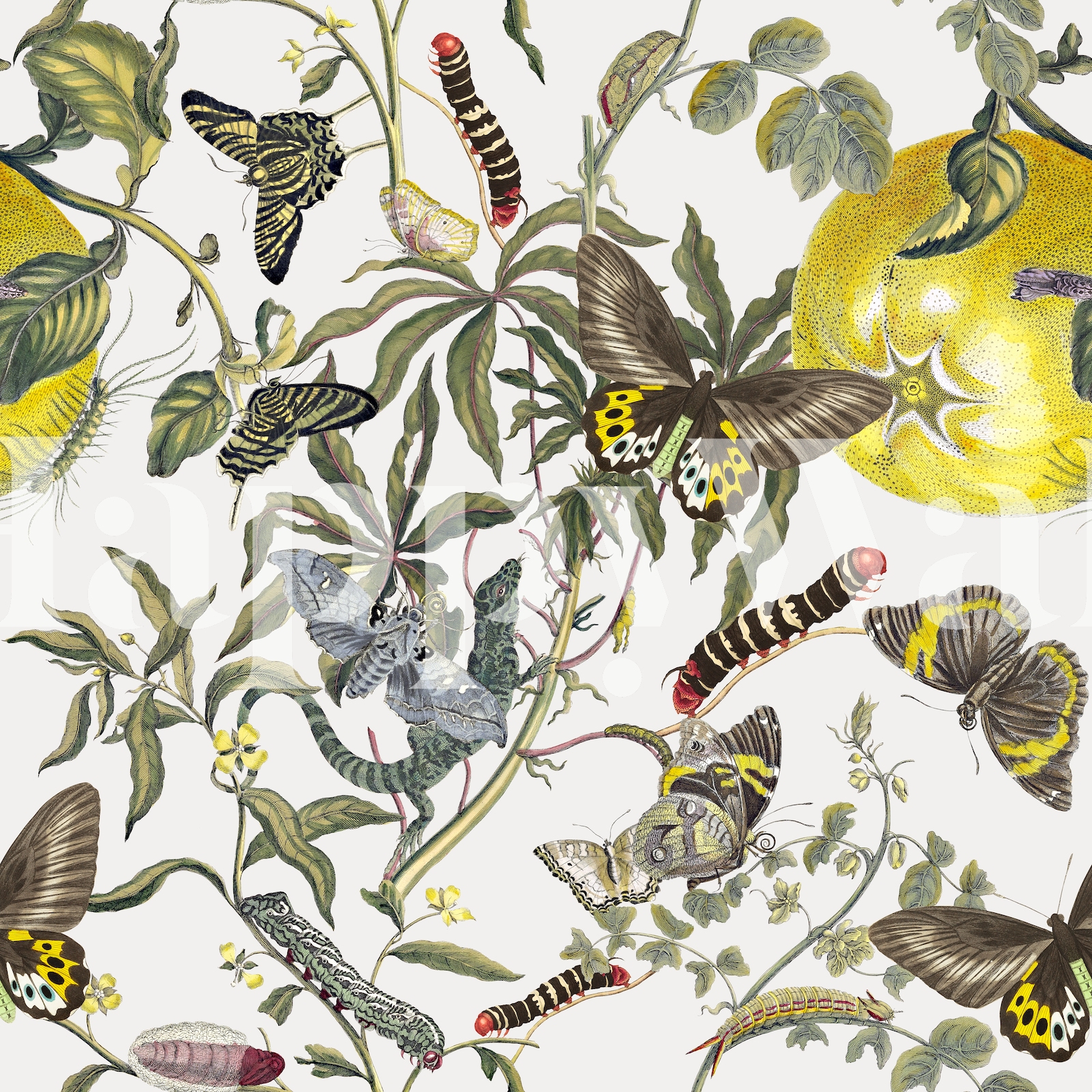 Botanic Fiorenzo Wallpaper | happywall.com