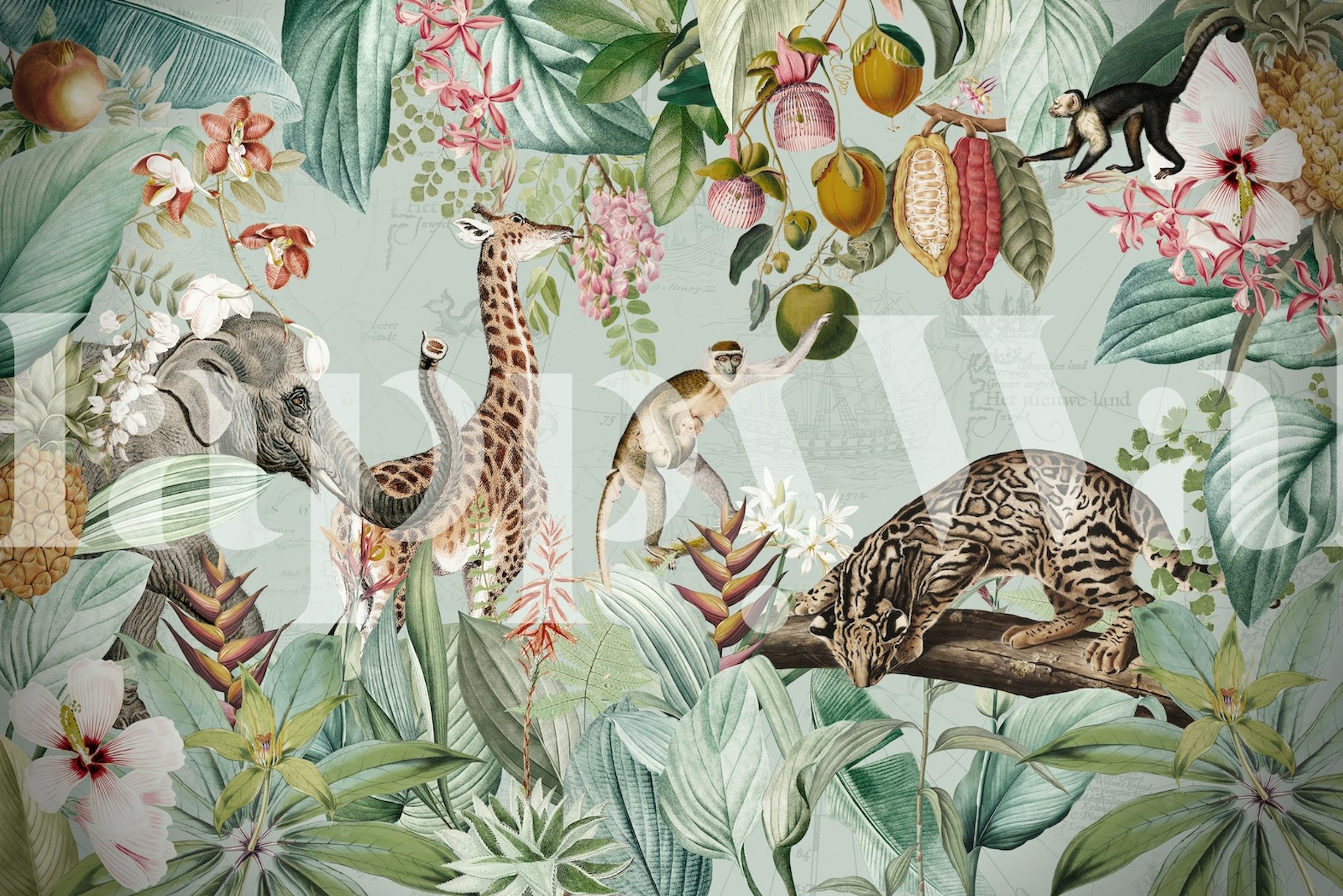 African Tropical Jungle Safari Wallpaper | Happywall