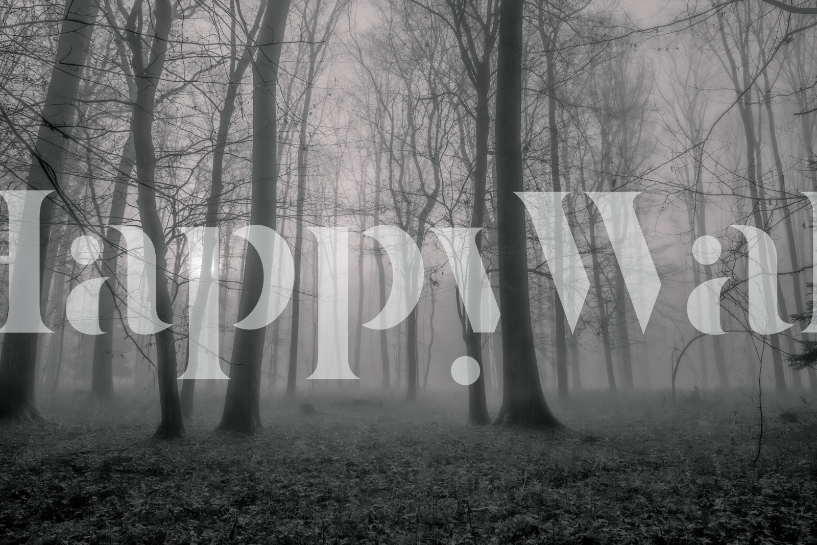 Monochrome Forest Whispers Wallpaper - Buy Online at Happywall