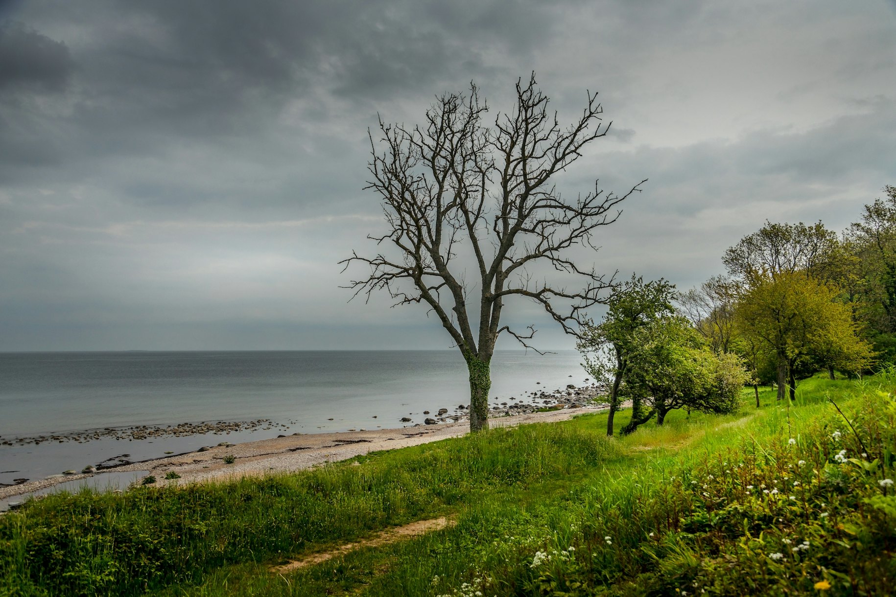 Buy Bornholm Beach Moment Wallpaper - Happywall.com