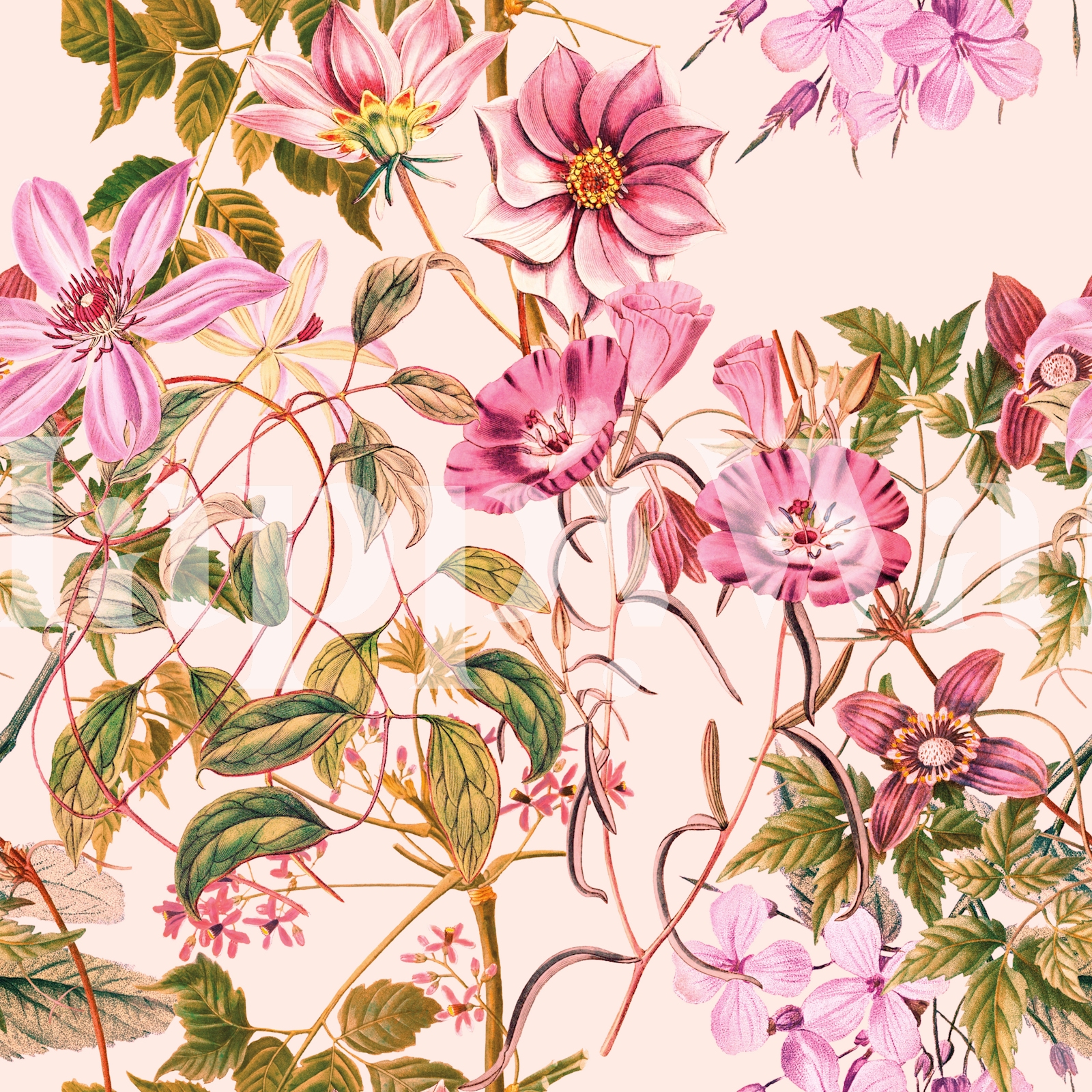 Vintage Pink Floral Wallpaper for Chic Decor