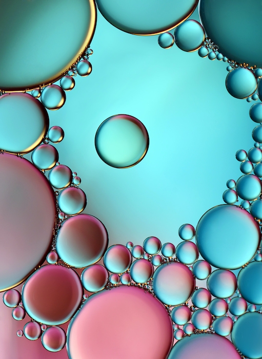 Surrounded or protected ? wallpaper wallpaper | Happywall
