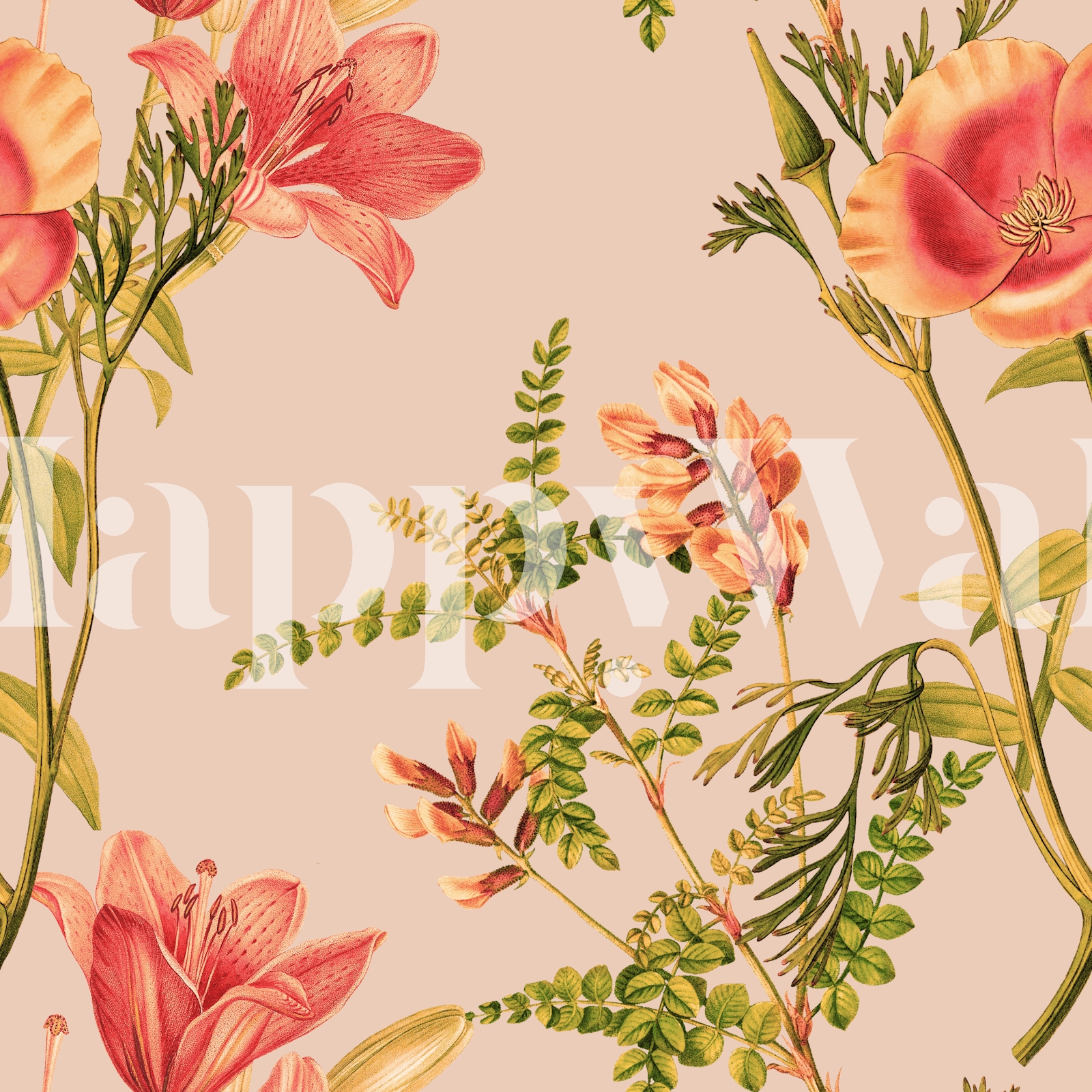 Orange Spring Flowers Wallpapers Gallery
