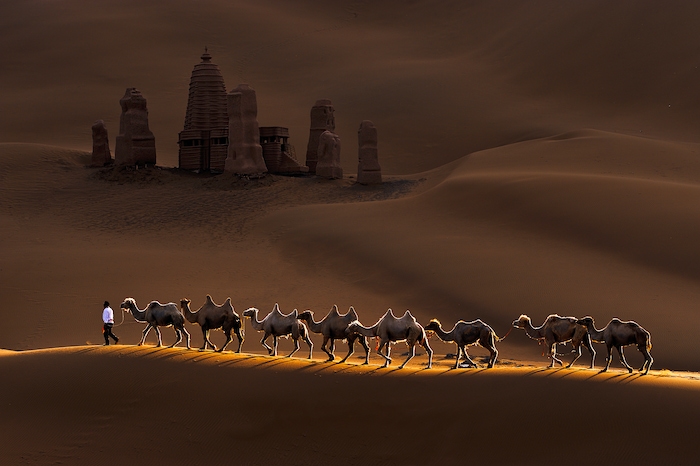 Castle and Camels Wallpaper | Happywall