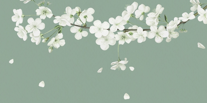 Flowers Spring Green Wallpaper - Happywall