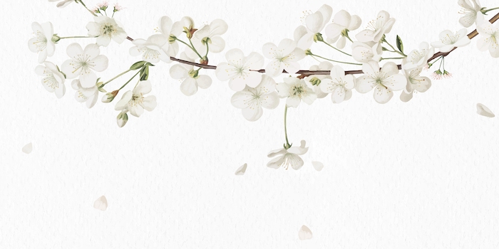 Buy Flowers Spring White Wallpaper | Happywall