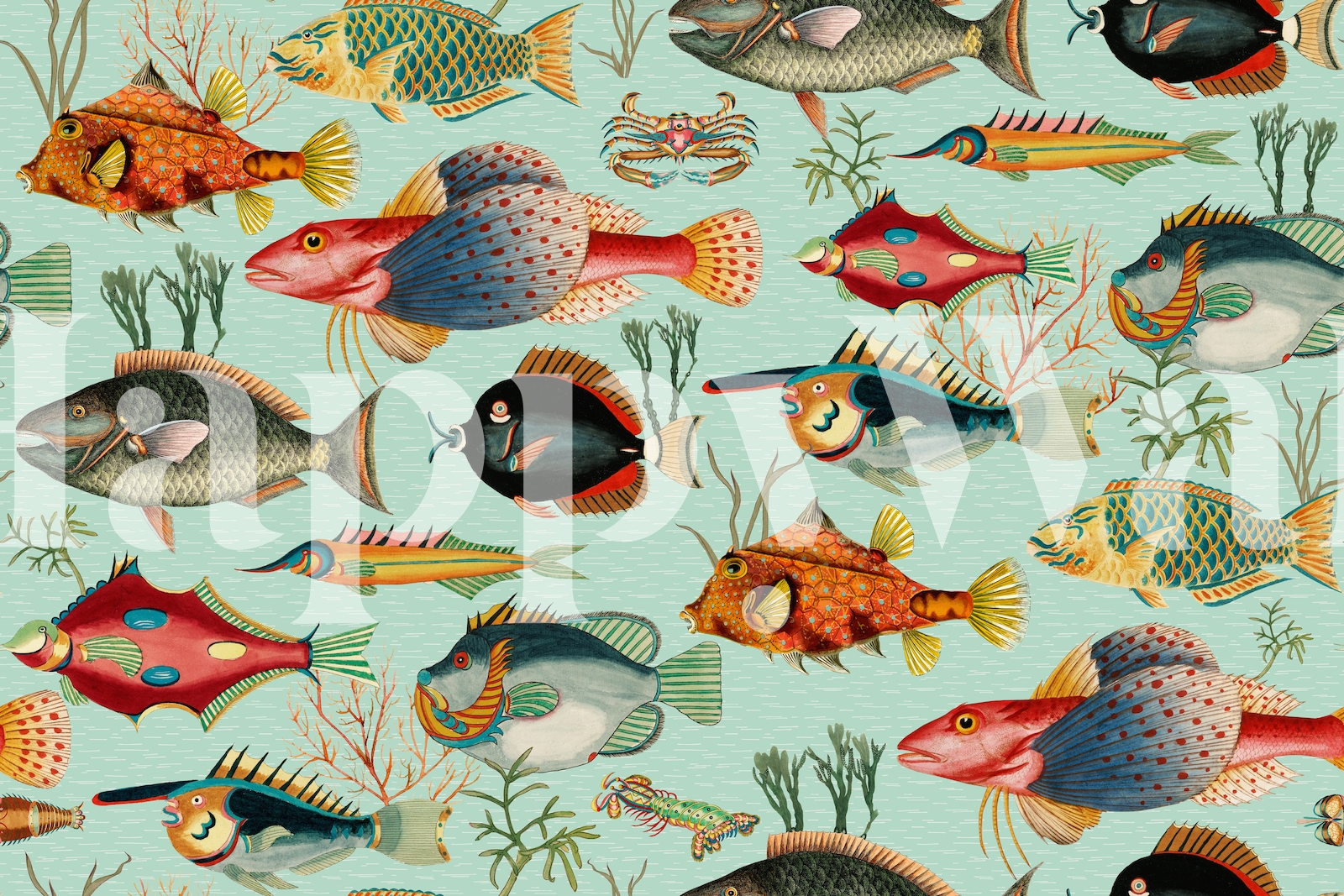 Unveiling the Enigmatic Oceania Pattern - Happywall