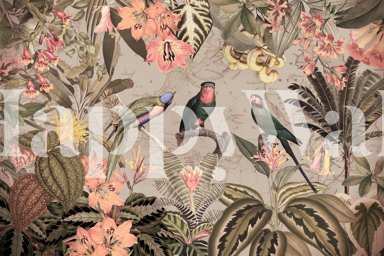 Exotic Sepia Jungle Parrots Floral Wallpaper
