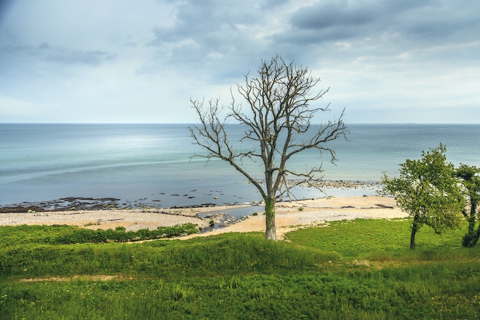 Bornholm Island Beach Wallpaper - happywall.com