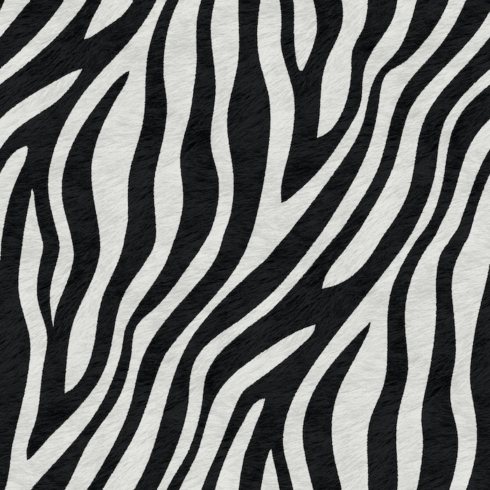 Classic Zebra Pattern Wallpaper - Buy Now at Happywall