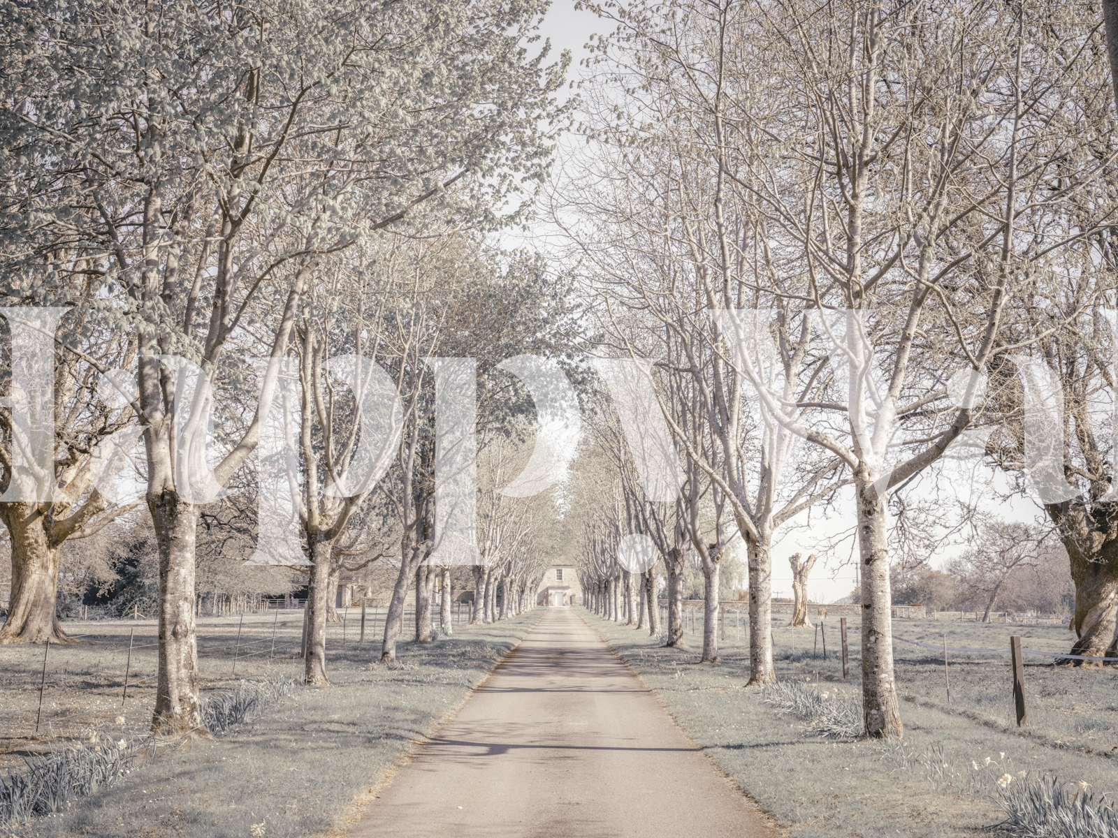 Buy Pathway to Peace Wallpaper Online | Happywall