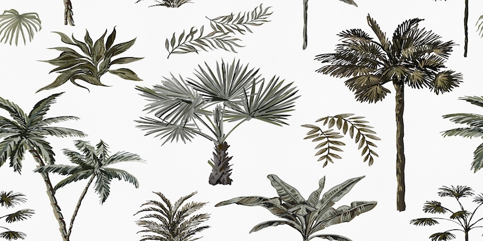Tropical White Tree Wallpaper | Happywall