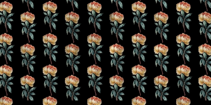 Rose Vintage Black Wallpaper - High-Quality Wallpapers