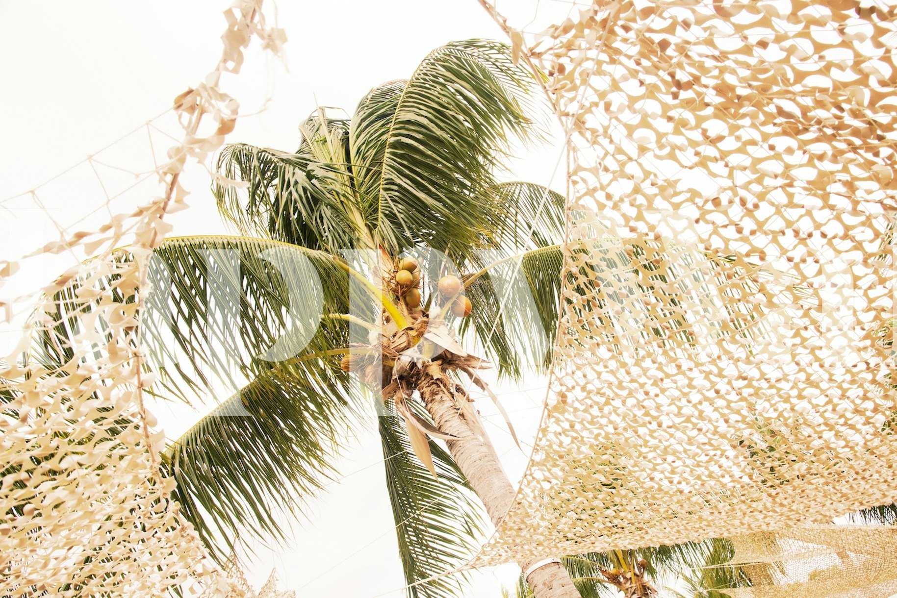 Caribbean Palm Tree Oasis 1 wallpaper - Free shipping | Happywall