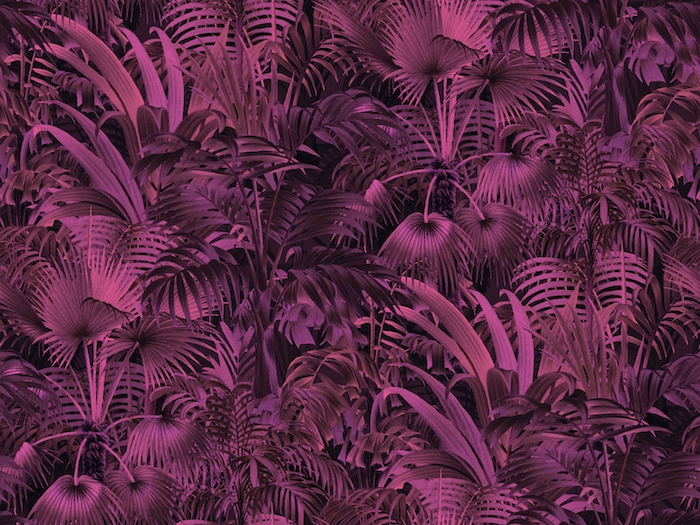 Impassible Jungle Wallpaper | happywall.com