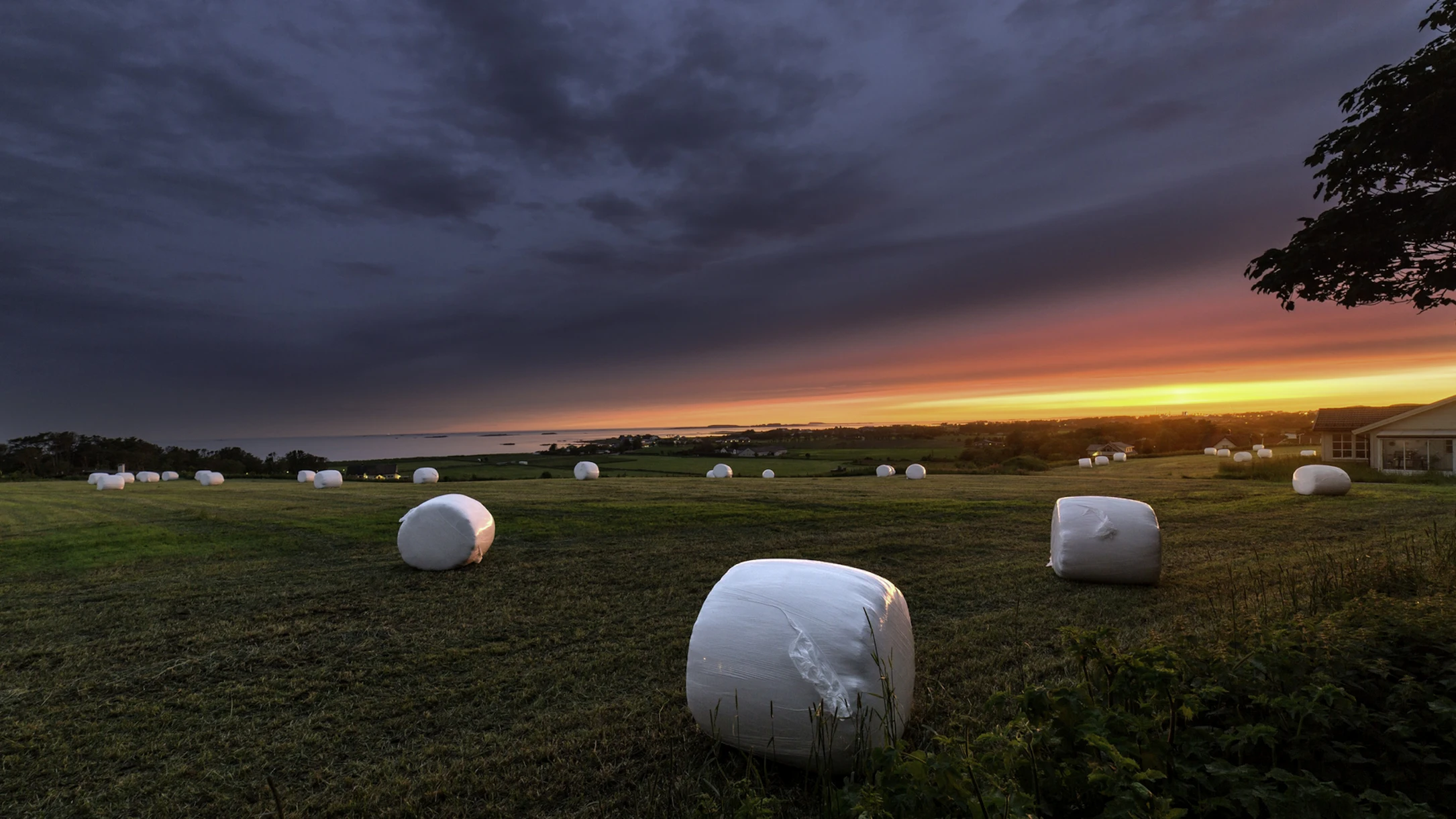 Farmland Wallpaper - Beautifully Scenic and Rustic Wallpapers | Happywall