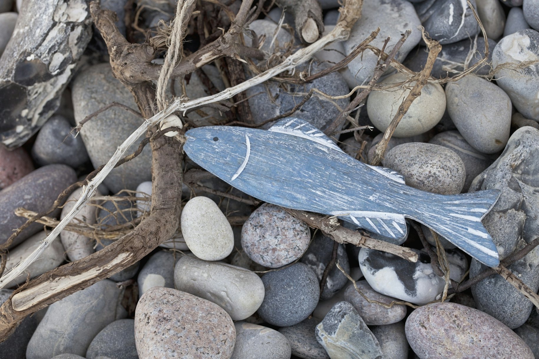 Fish and Pebble Wallpaper - Buy Online from Happywall