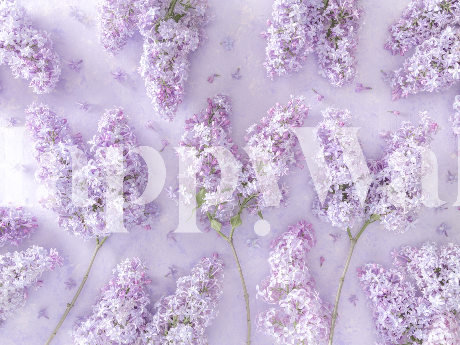 Lilac Floral Wallpaper for Bedroom Decor