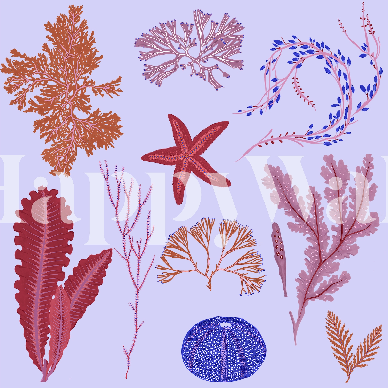 Buy Sea Things Wallpaper | Happywall - Happywall