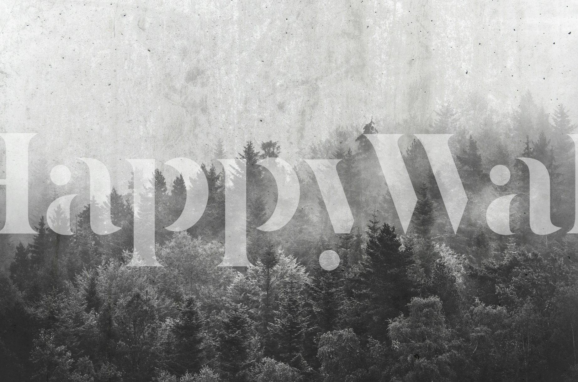 Buy Fresh Day Gray Wallpaper Online | Happywall