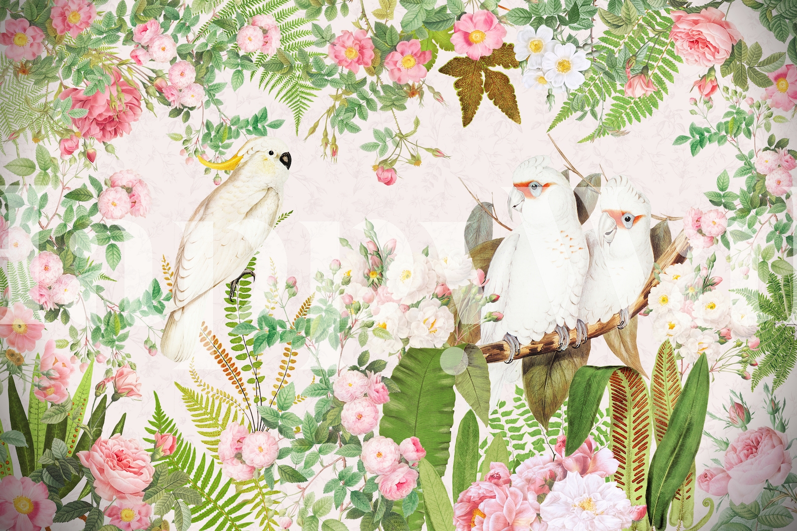 Floral Cockatoo Wallpaper for Botanical Lovers