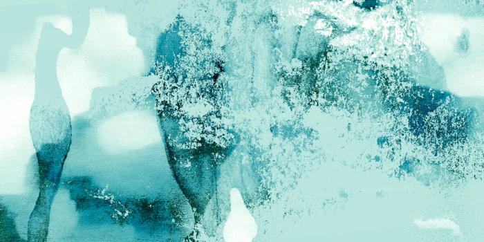 Buy Wild Indigo Teal Wallpaper | Happywall