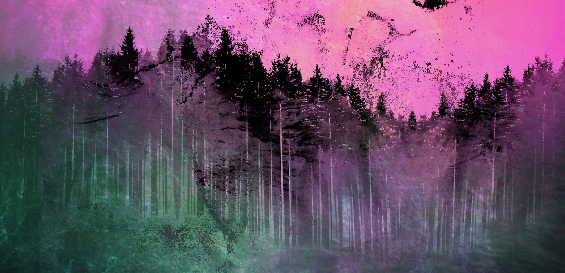 Buy Magenta Corall Dream Forest Grunge Wallpaper | Happywall