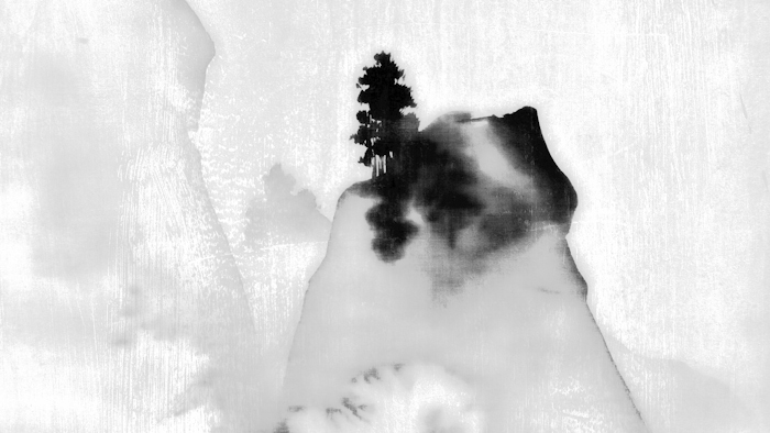 Japanese Pine Tree Mountain Mist Wallpaper