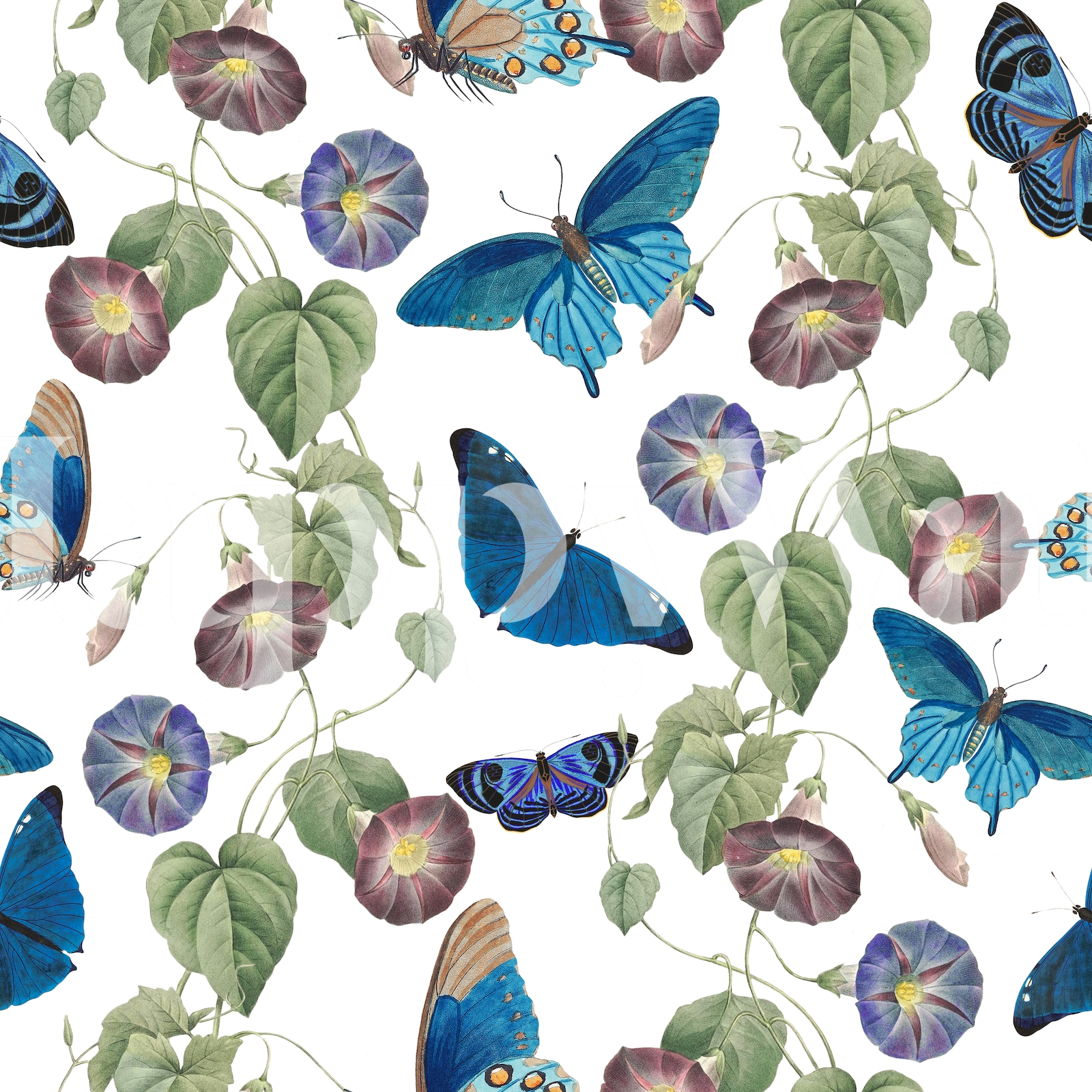 Vintage Blue Butterflies and Ipomea Wallpaper | Happywall.com
