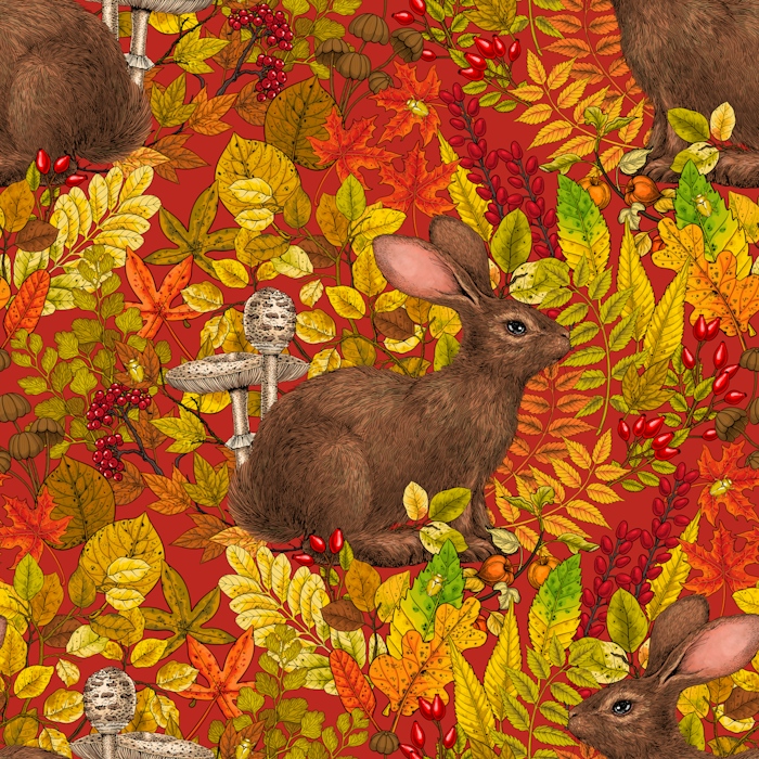 Autumn Rabbit Wallpaper | happywall.com
