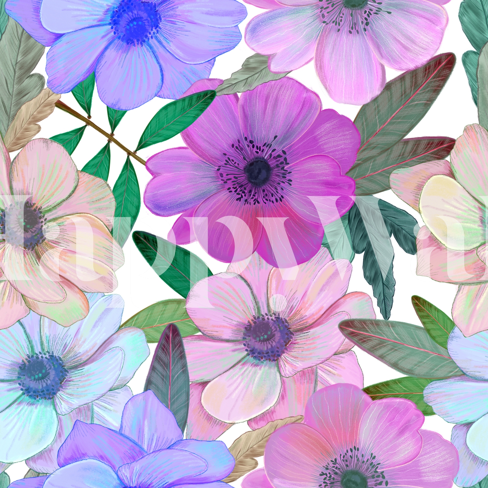 Colorful Floral Wallpaper with Anemones Design