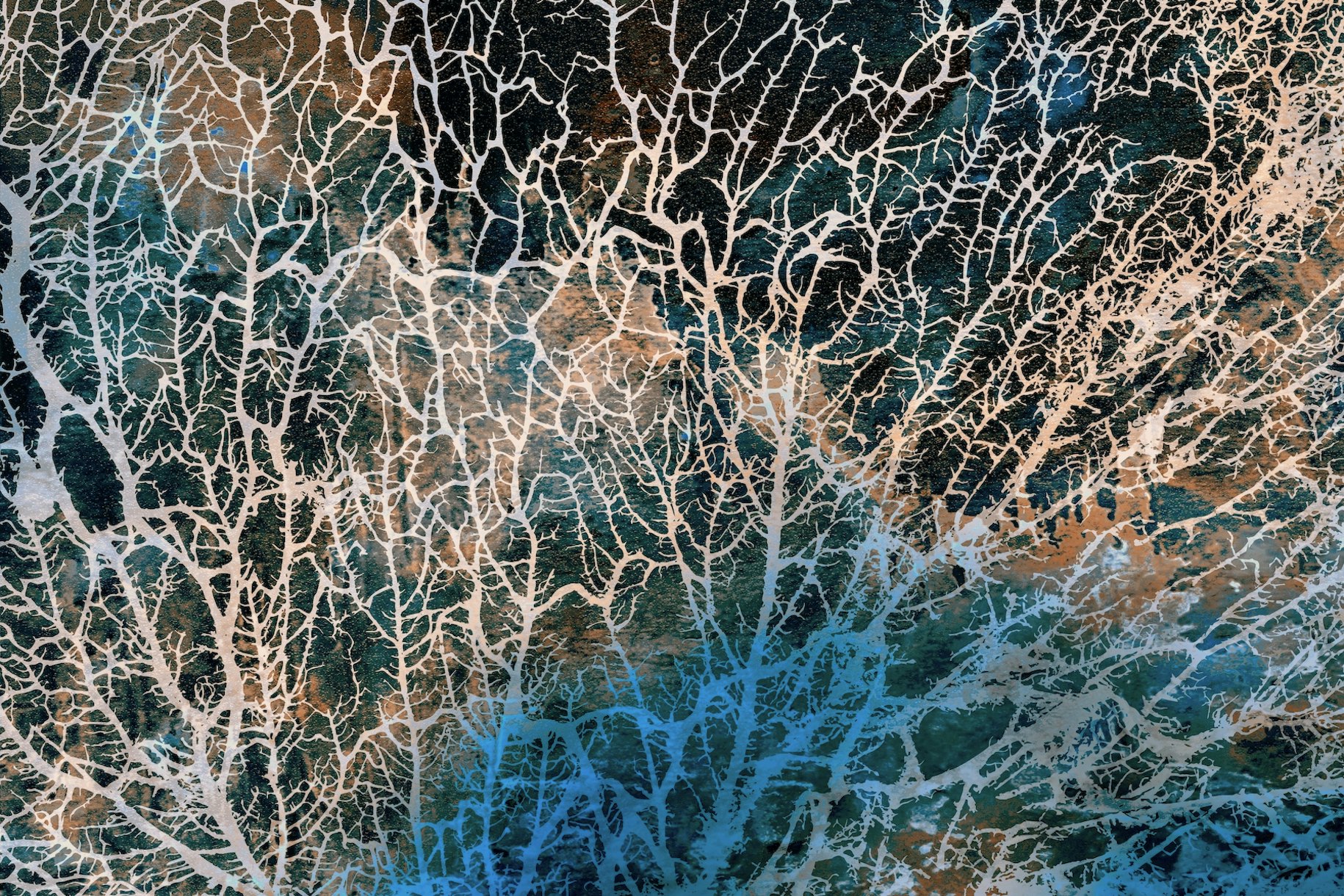 Buy Mysterious Japandi Moss Wallpaper | Happywall.com